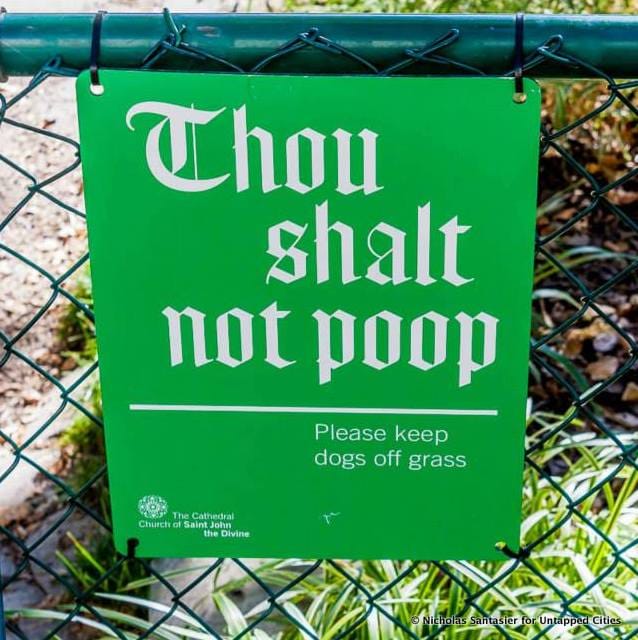 Daily What?! Thou Shalt Not Poop at the Cathedral of St. John the ...
