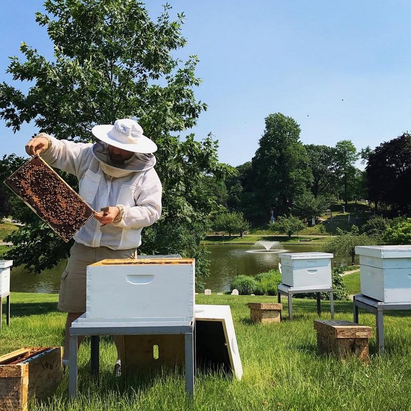 8 Surprising NYC Beekeeping Spots For National Honey Bee Day - Untapped ...