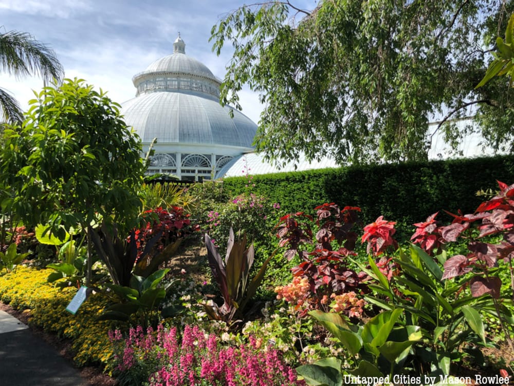 NYC Phase 4 Reopening Begins Today: What to Expect - Untapped New York