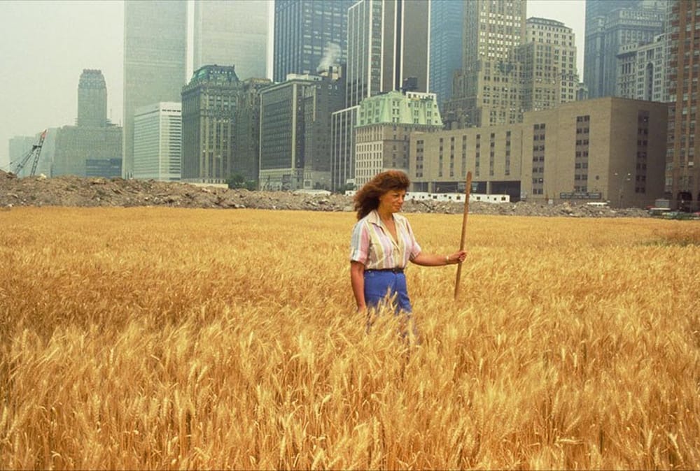 When Battery Park City Was a Wheat Field in 1982 - Untapped New York
