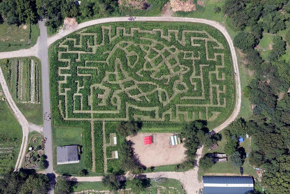Get Lost in NYC’s Only Corn Maze, Shaped Like the World’s Fair ...