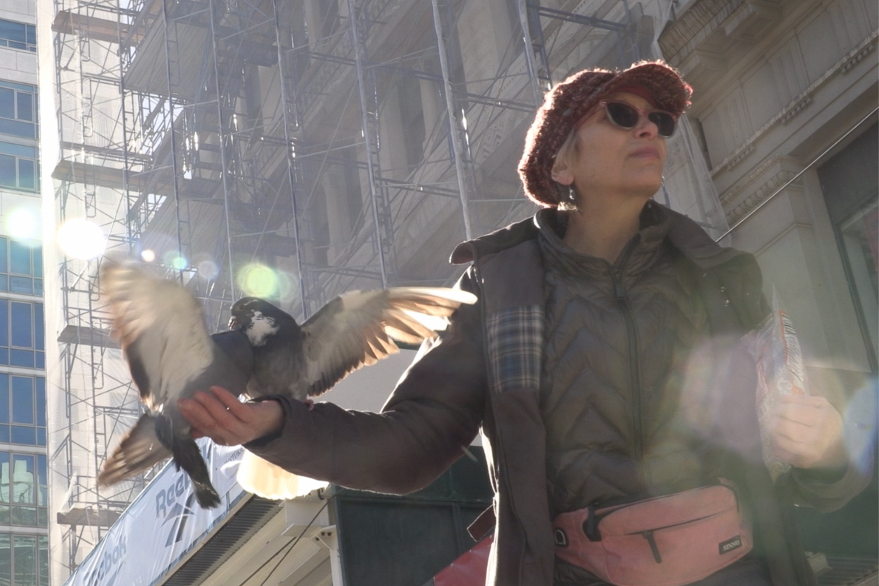These Women Rescue NYC Pigeons in Need