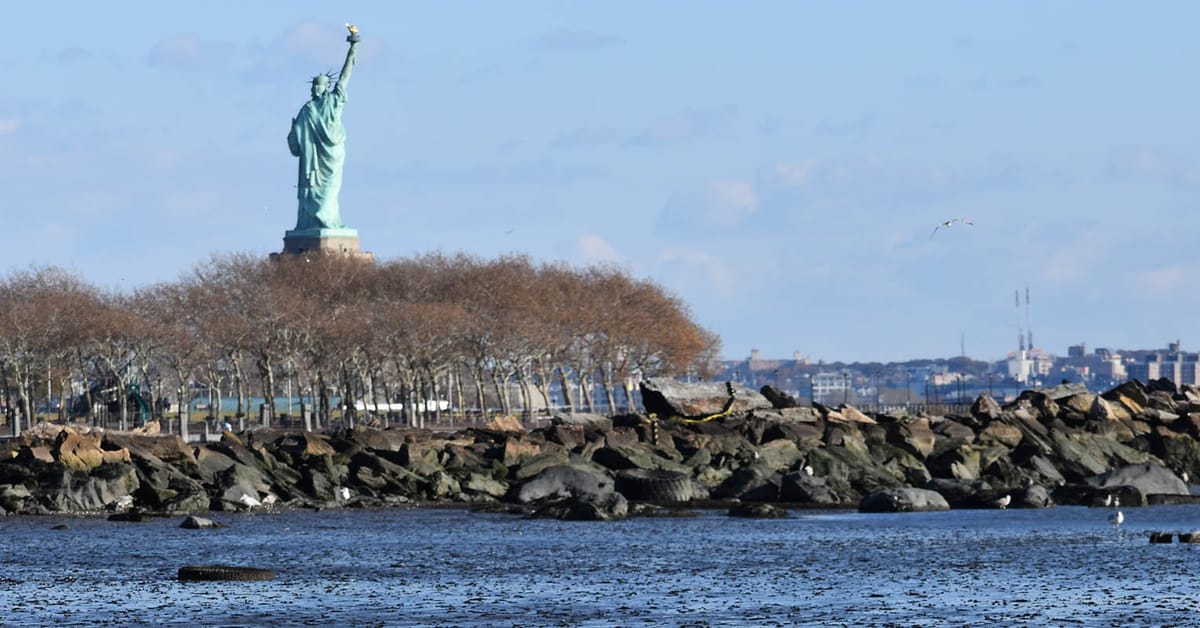Explore Caven Point in Jersey City, One of the Last Salt Marshes in NYC ...