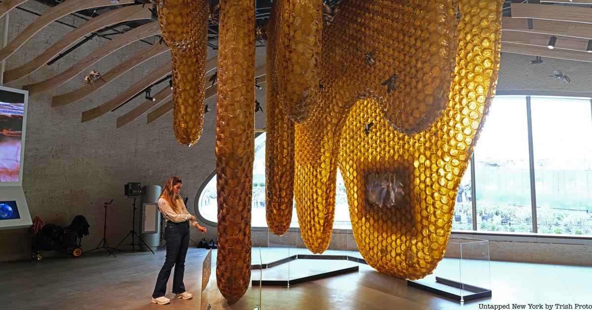 7 Wonders of the Gilder Center at the AMNH in NYC - Untapped New York