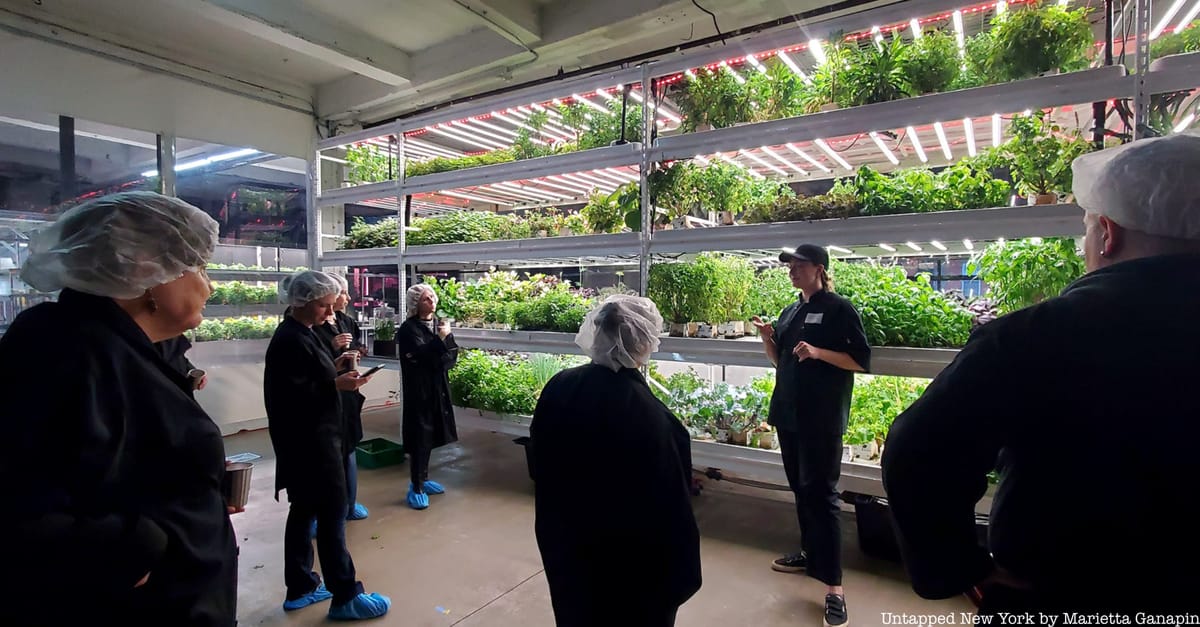 Photos: Indoor Hydroponic Farm Tour & Tasting - Untapped New York