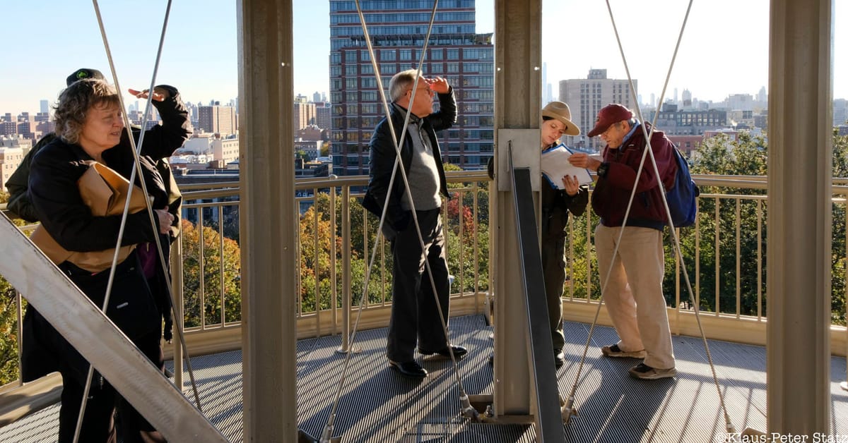 Views from the Top NYC's Last Fire Watchtower - Untapped New York