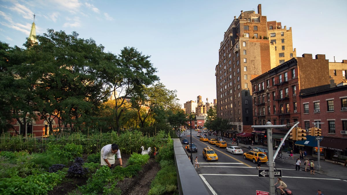 5 NYC Rooftops That Are Turning City's Skyline Green