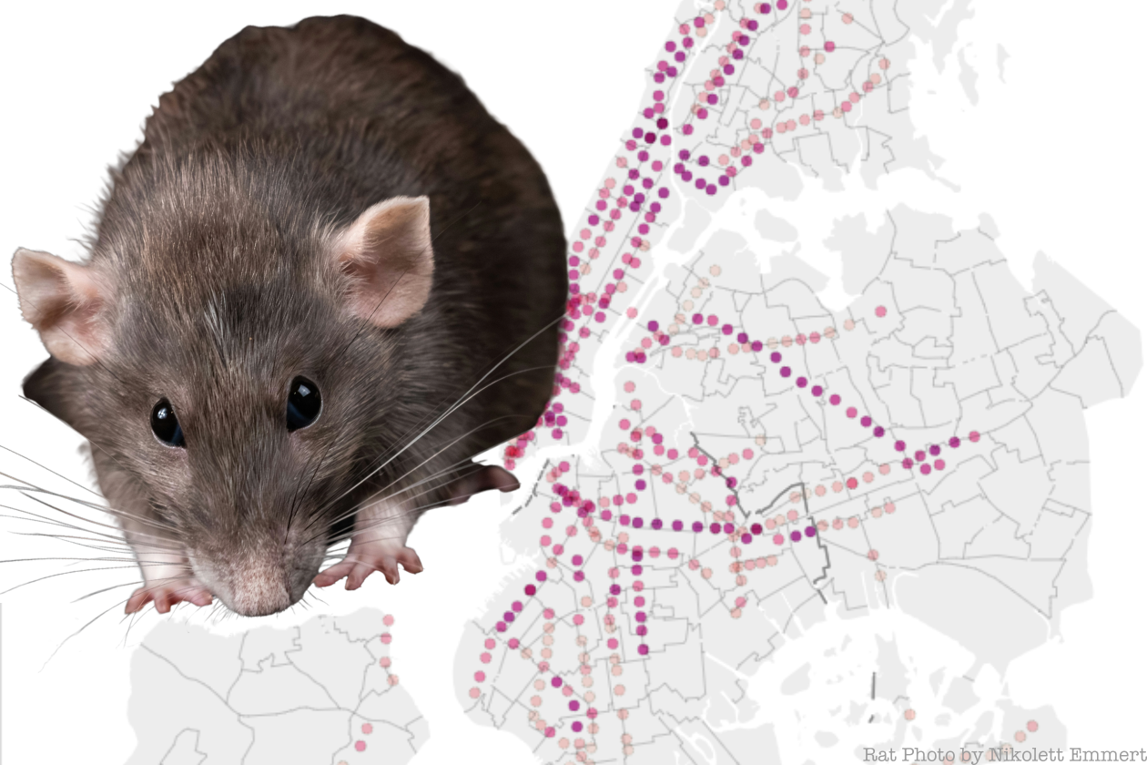 These Stations Have the Most Rats in the New York Subway