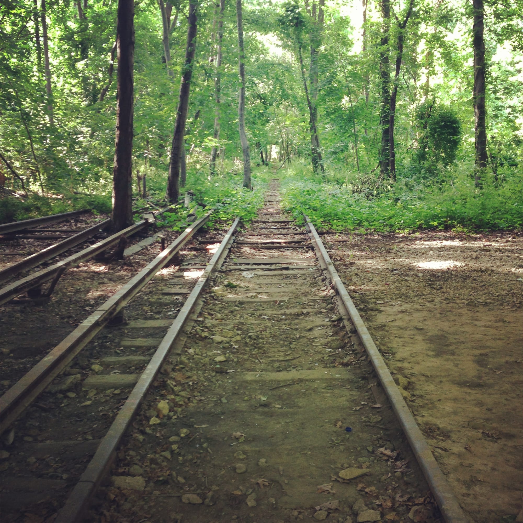 See the Entire 3.5 Mile Stretch of the QueensWay, LIRR's Rockaway Line ...