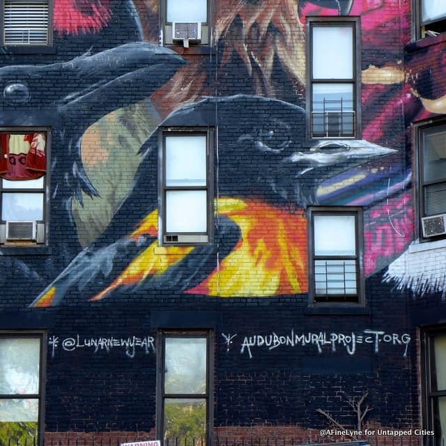 The Audubon Mural Project NYC Uses Street Art to Address Effects of ...