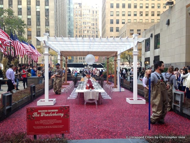 2000 Pounds of Cranberries Fill NYC's Rockefeller Center Pop-Up Bog ...