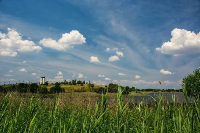 "Landscape in Motion" Looks at Freshkills Transformation from Landfill ...