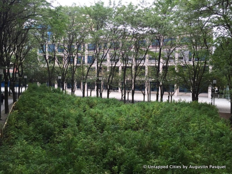 Photos: There's a Mini Redwood Forest in Downtown Brooklyn with 4000 ...