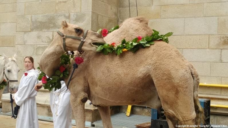 All Creatures Great and Small: The Blessing of the Animals at Cathedral ...
