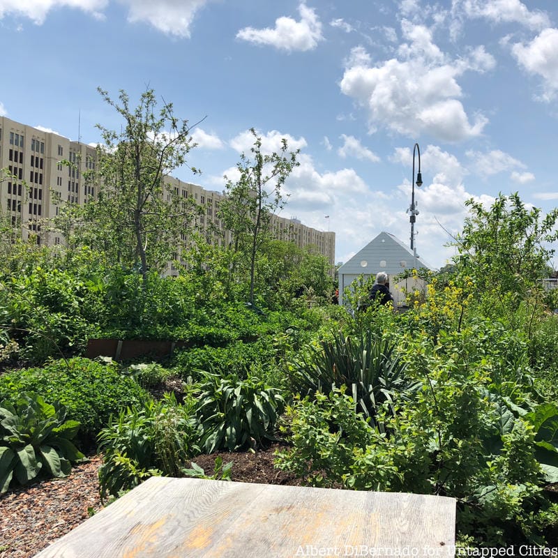 Photos of Swale, the Floating Food Forest Now at Brooklyn Army Terminal ...