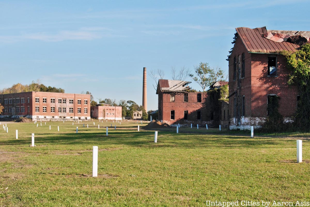 Haunting New Video on Abandoned Hart Island Brings You Onto NYC's ...