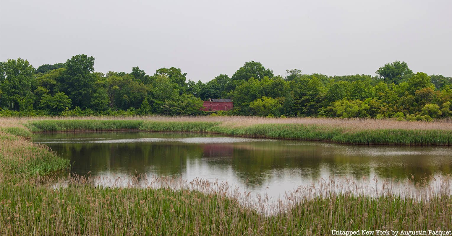 NYC H2O Opens East Causeway of the Ridgewood Reservoir - Untapped New York