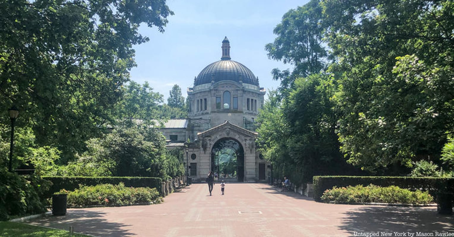 Pets, Stowaways, and Snakes: Living Donations To The Bronx Zoo ...