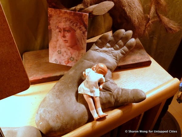 Morbid Anatomy Library, Where Death And Beauty Intersect - Untapped New ...