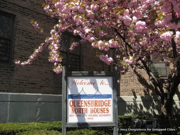 Queensbridge, NYC: Inside America's Largest Public Housing Project ...