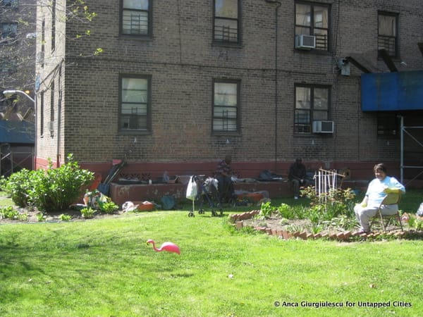 Queensbridge, NYC: Inside America's Largest Public Housing Project ...