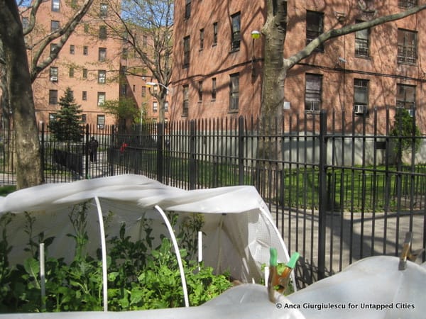 Queensbridge, NYC: Inside America's Largest Public Housing Project ...