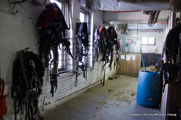 Behind the Scenes in the Clinton Park Horse Stables for the Central ...
