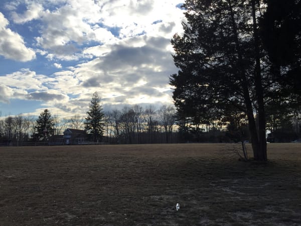 This Former Nazi Neighborhood on Long Island with Adolf Hitler Street ...