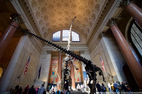 13 Secrets of NYC's American Museum of Natural History - Untapped New York