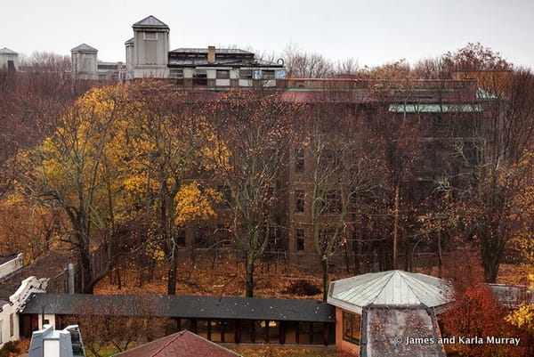 Behind the Scenes Photos of Sea View Hospital on Staten Island, Poised ...