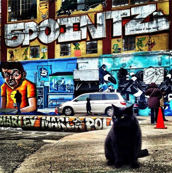 5Pointz - Untapped New York