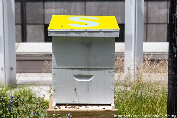 Watch a Live Bee Cam of the Hives Atop One Bryant Park - Untapped New York