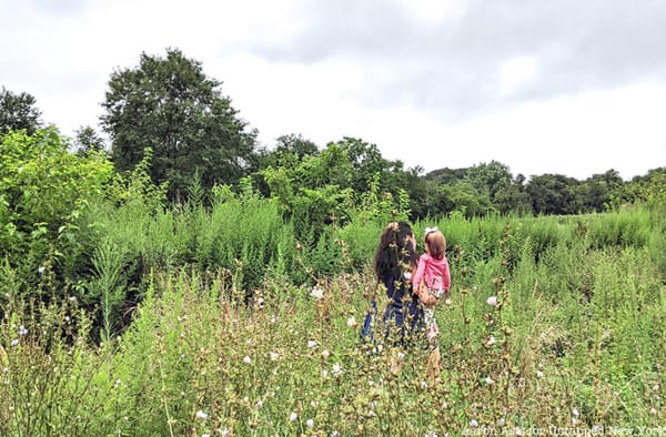 Queens County Farm Reopens with New Public Art Installation - Untapped ...