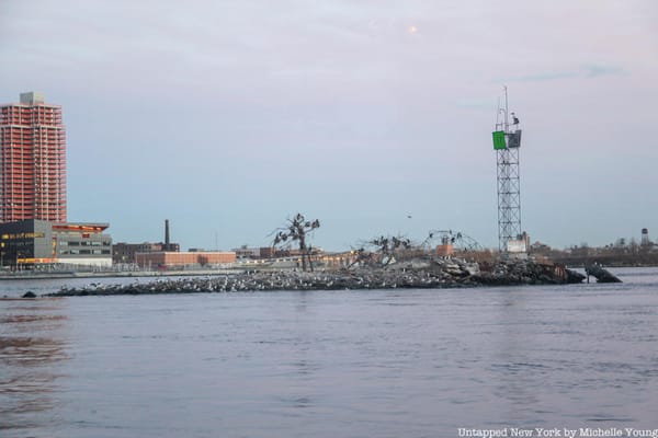 U Thant Island: The Quirky Story of NYC's Smallest Island - Untapped ...