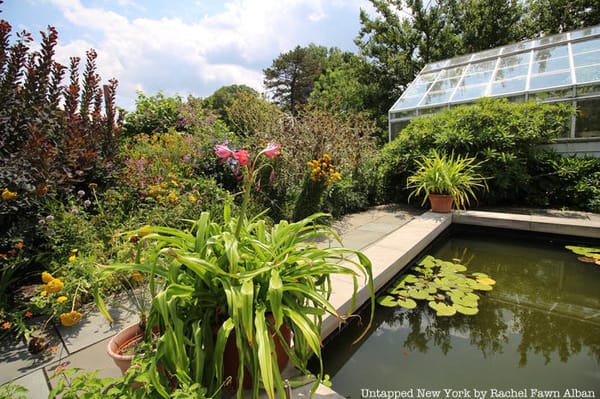 6 Beautiful Botanical Gardens to Visit in NYC - Untapped New York