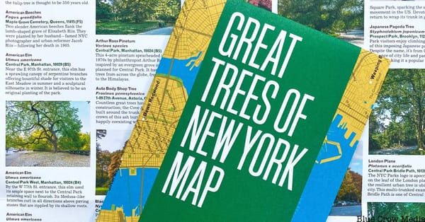 Discover the Strangest and Rarest Trees of NYC - Untapped New York