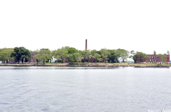 The First Public Walking Tours of Hart Island to Start This Month in ...