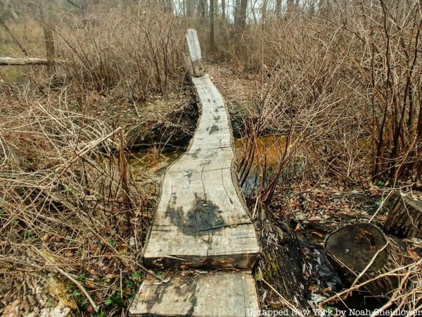 Top 9 Secrets of Little Neck, Queens - Untapped New York