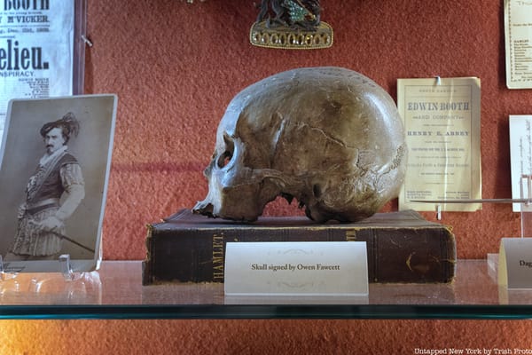 Why Are There Human Skulls Inside The Players Clubhouse in NYC ...
