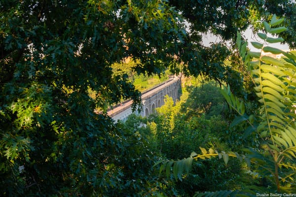 How to Celebrate the 175th Anniversary of the High Bridge, NYC's Oldest ...