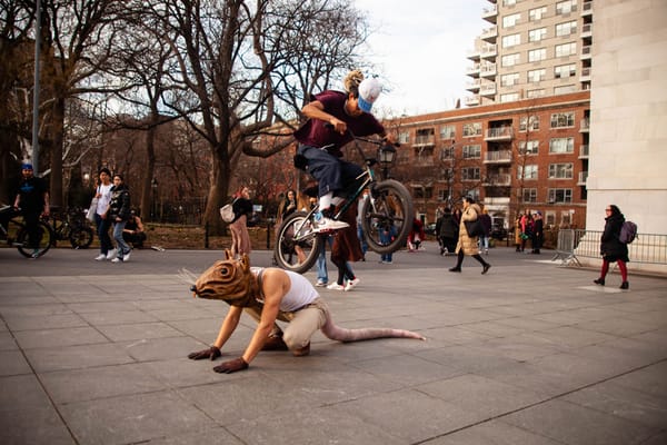 Meet Buddy the Rat, a Rambunctious Viral Street Performer in NYC ...