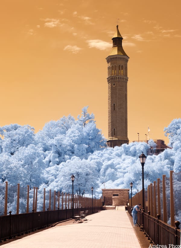 Climb and Photograph NYC's High Bridge Water Tower - Untapped New York