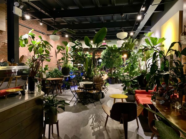 10 Creatively Themed Cafes in Queens - Untapped New York
