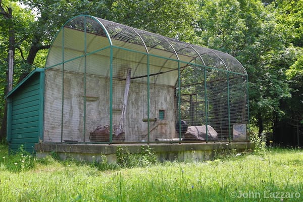 Remnants of the Abandoned Catskill Game Farm - America's First Private ...