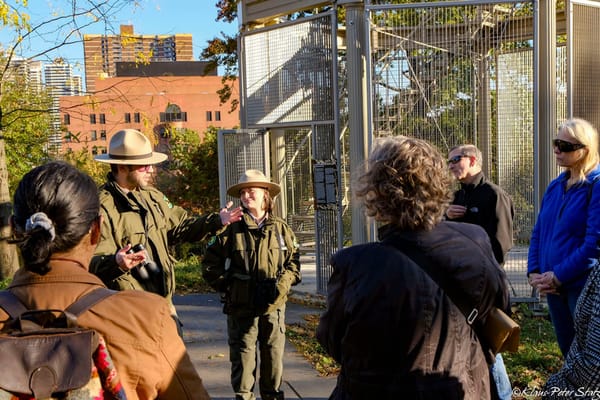 Views from the Top NYC's Last Fire Watchtower - Untapped New York