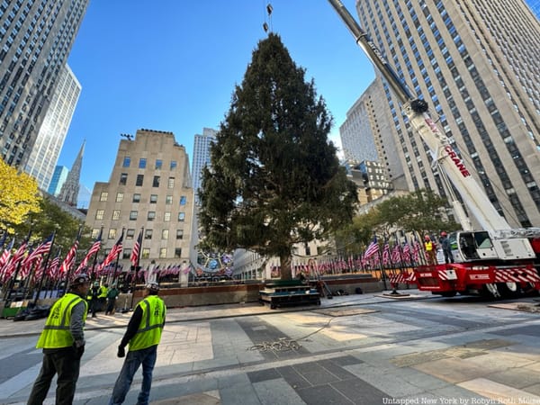 The Rockefeller Christmas Tree Arrives in NYC - Untapped New York