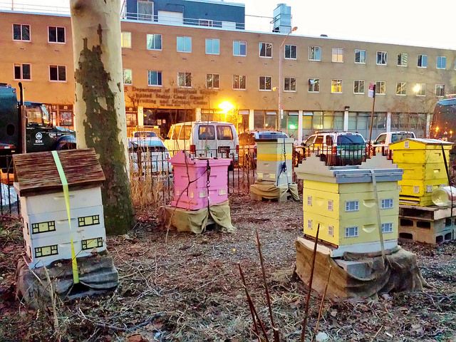 Daily What? Beehives Shaped Like Little Houses In Battery Park NYC ...
